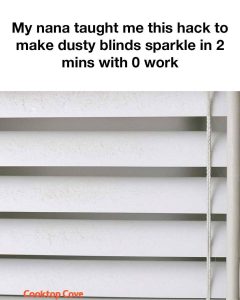 My nana taught me this hack to make dusty blinds sparkle in 2 mins with ...