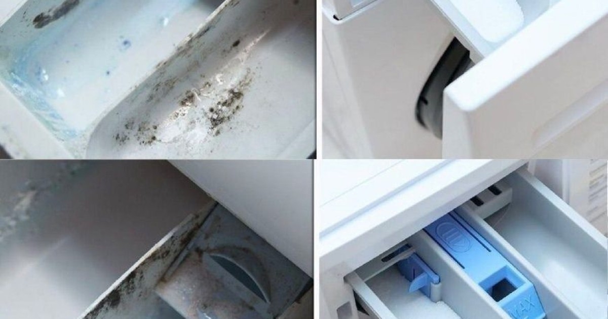 The ingenious trick for cleaning the washing machine’s detergent drawer ...
